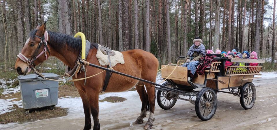 Sipelgad Vabaõhumuuseumis - Männi Lasteaed | Tallinn