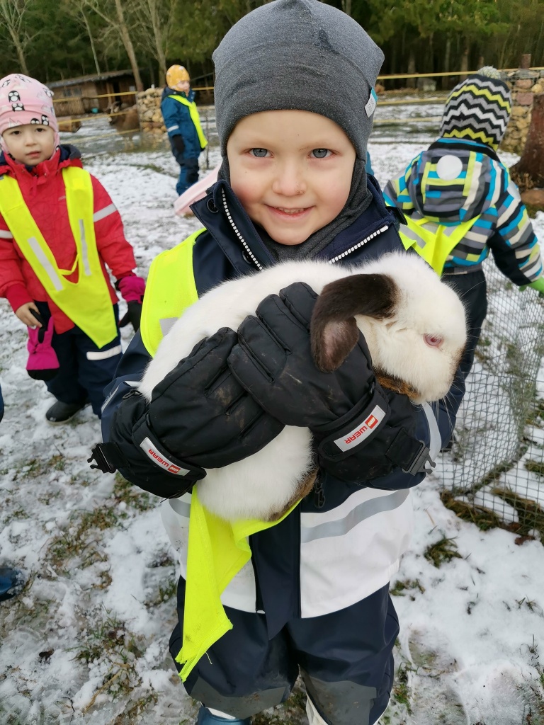 Meelespea lasteaed - Kuldkalakesed Seppami talus 2019 | Tallinn