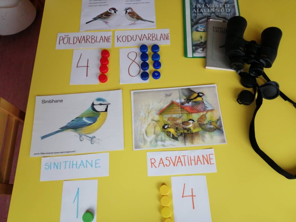 Meelespea lasteaed - Naksitrallide talvine talvelinnuvaatlus 2020 | Tallinn