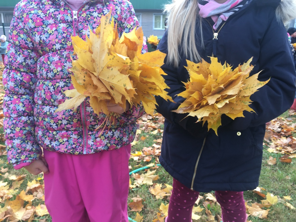 Pääsupesa lasteaed - Kolmapäev, kolletamispäev Pääsupesas 2020 | Tallinn