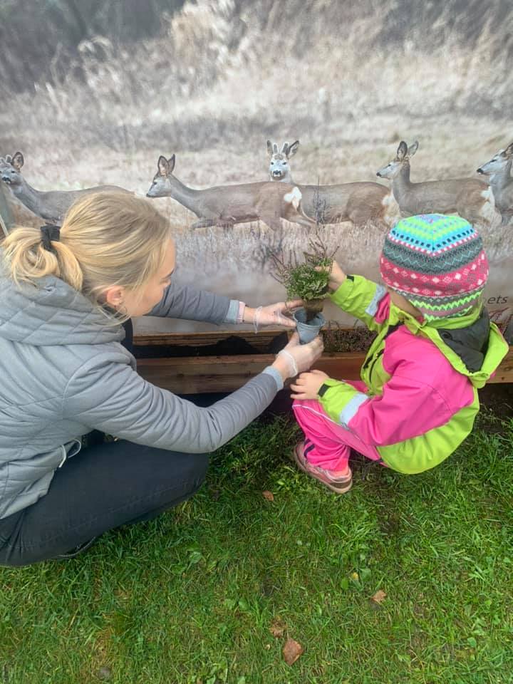Meelespea lasteaed - Piirdeaia kanarbikud | Tallinn