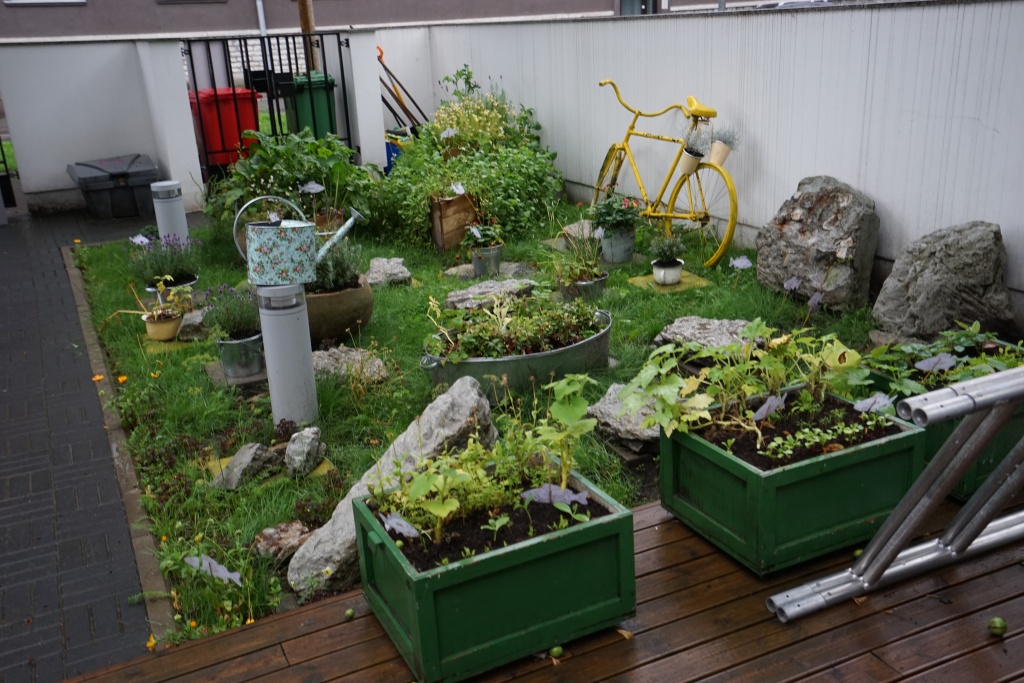 Kalamaja muuseum - ajaloolistest aedadest | Tallinn