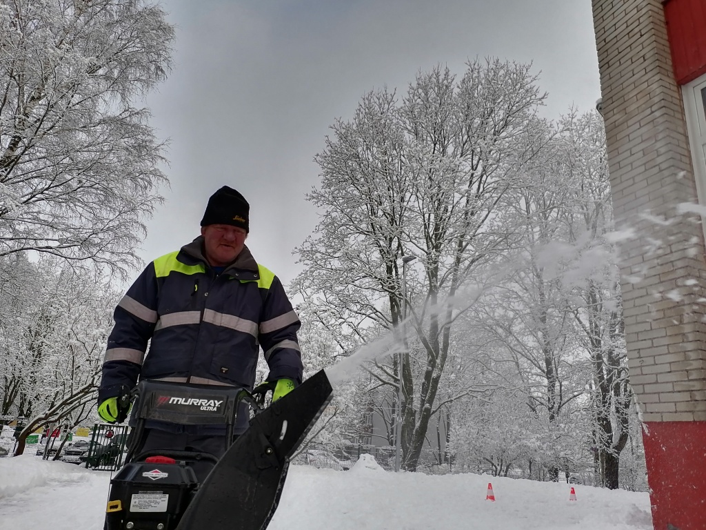 Karu - aasta loom 2022 - Kadaka Lasteaed | Tallinn