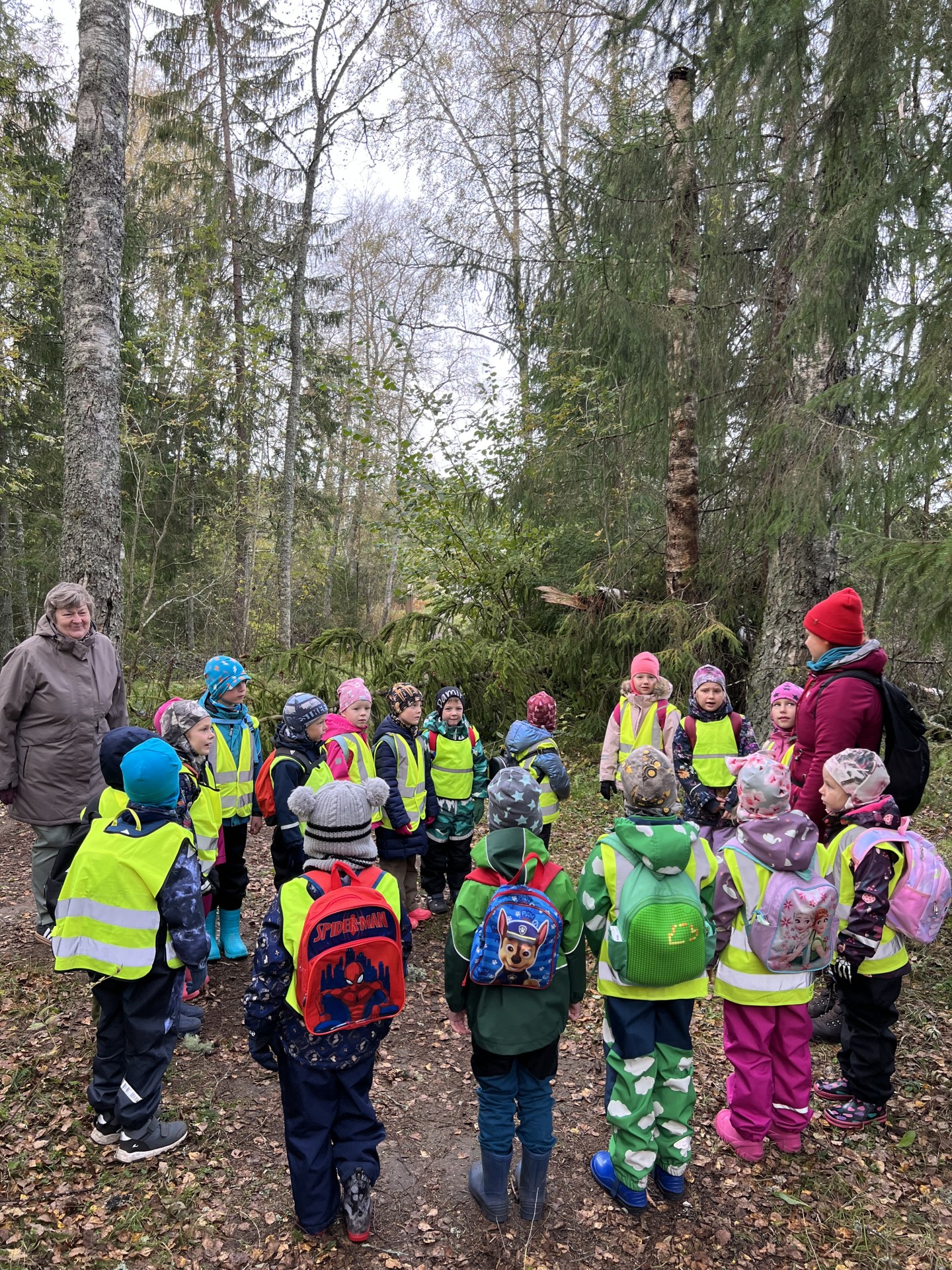 Naksitrallid võlumetsas | Tallinn