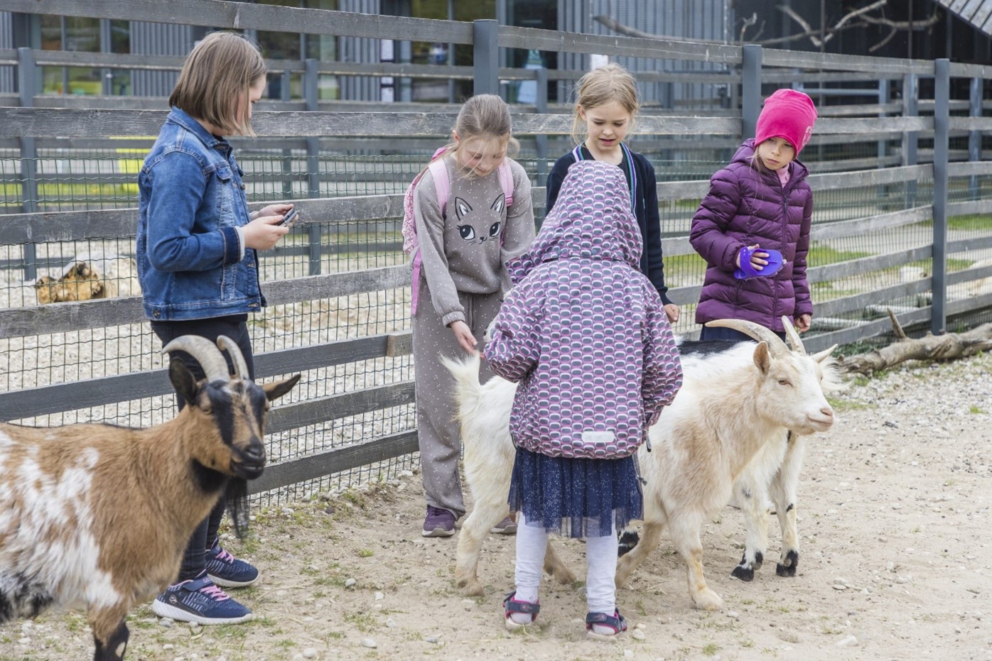 Tallinna loomaaed | Tallinn