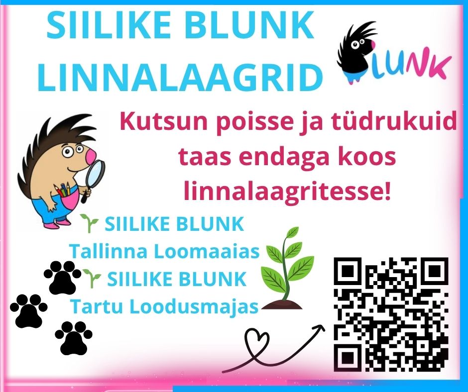 Siilike BLUNK linnalaagrid Tallinnas ja Tartus | Tallinn