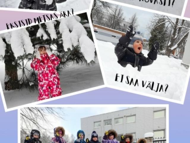 Lasteaed Ojake pildialbum - Sisulehtede pildid - Talv | Tallinn