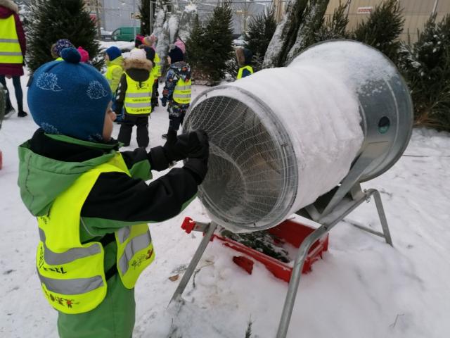 Tallinna Paekaare Lasteaed - Kuuse toomine ja kaunistamine - 2021/2022 ...