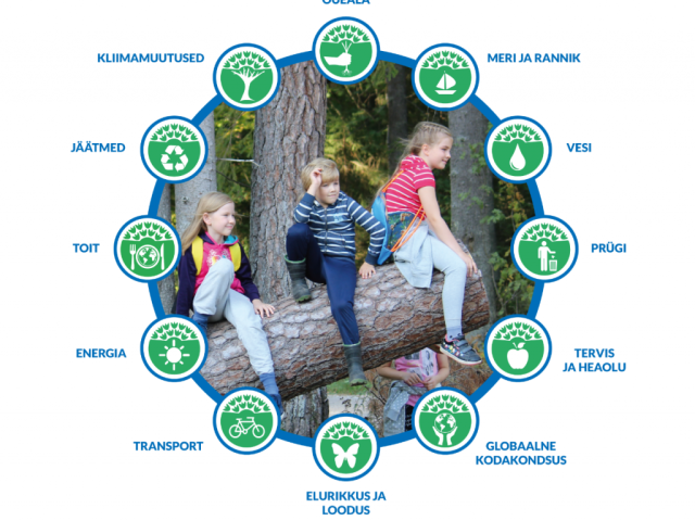 Lasteaed Südameke pildialbum - Roheline kool | Tallinn