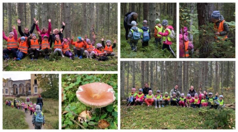 Pokud ja Naksitrallid läksid omadega metsa | Tallinn