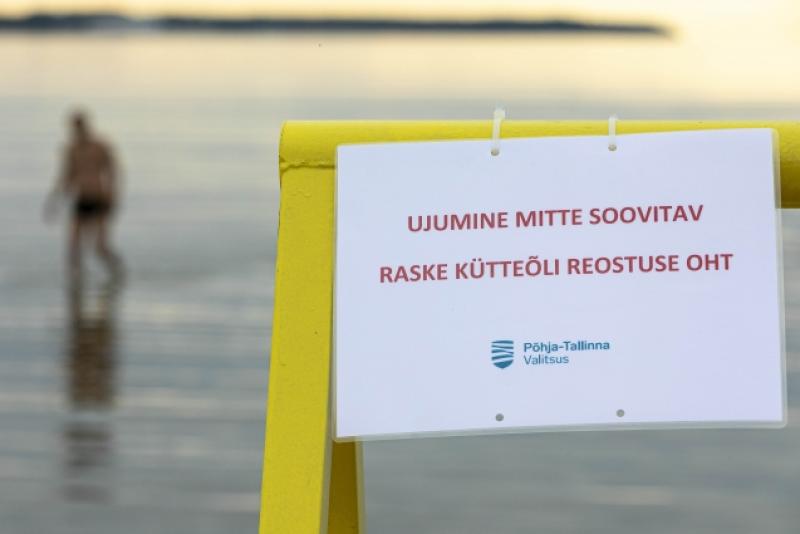 Algab Stroomi rannas vee all pinnases asuva naftareostuse uuring | Tallinn