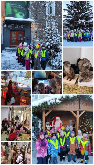 Muuseumitund "Metsloomade aasta: talv" | Tallinn