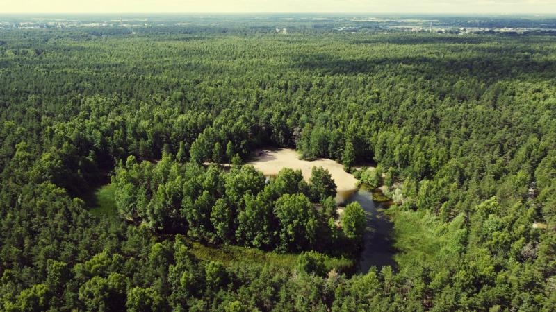 Harku metsa nimetule järvele otsitakse ametlikku nime | Tallinn