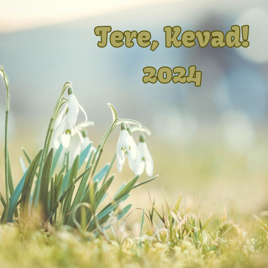 Projekt "Tere, kevad! 2024" | Tallinn