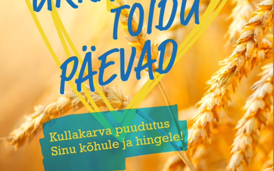 Tallinna 53. Keskkool | Tallinn