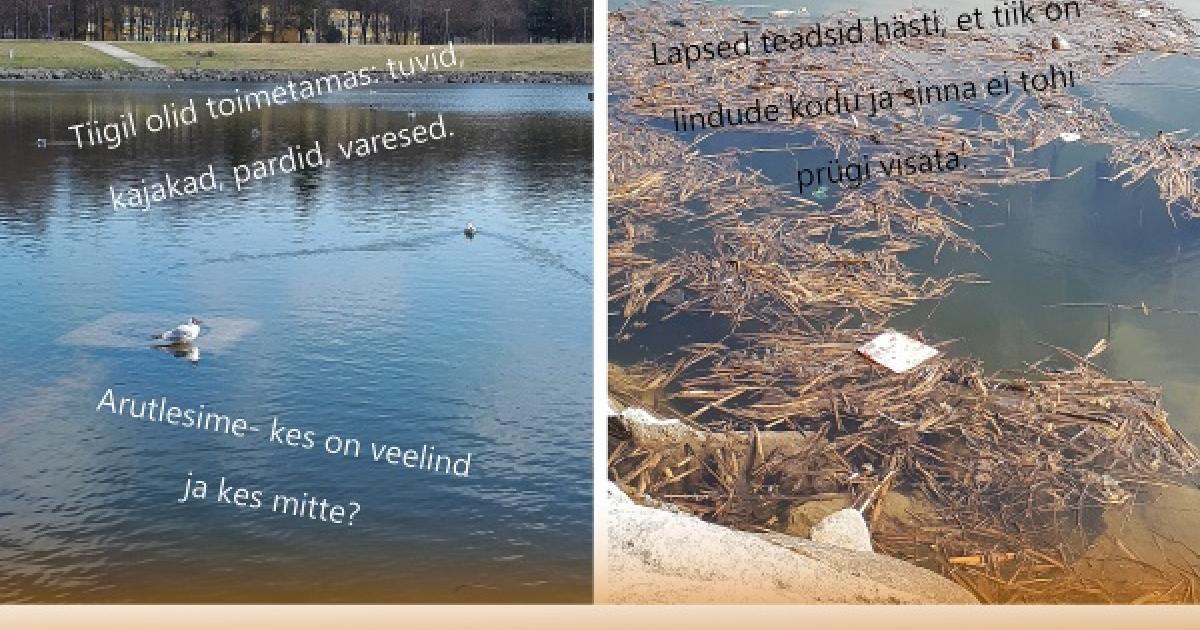 Meelespea lasteaed - Õiekesed aktiivsusradadel GPS-kunsti saatel | Tallinn