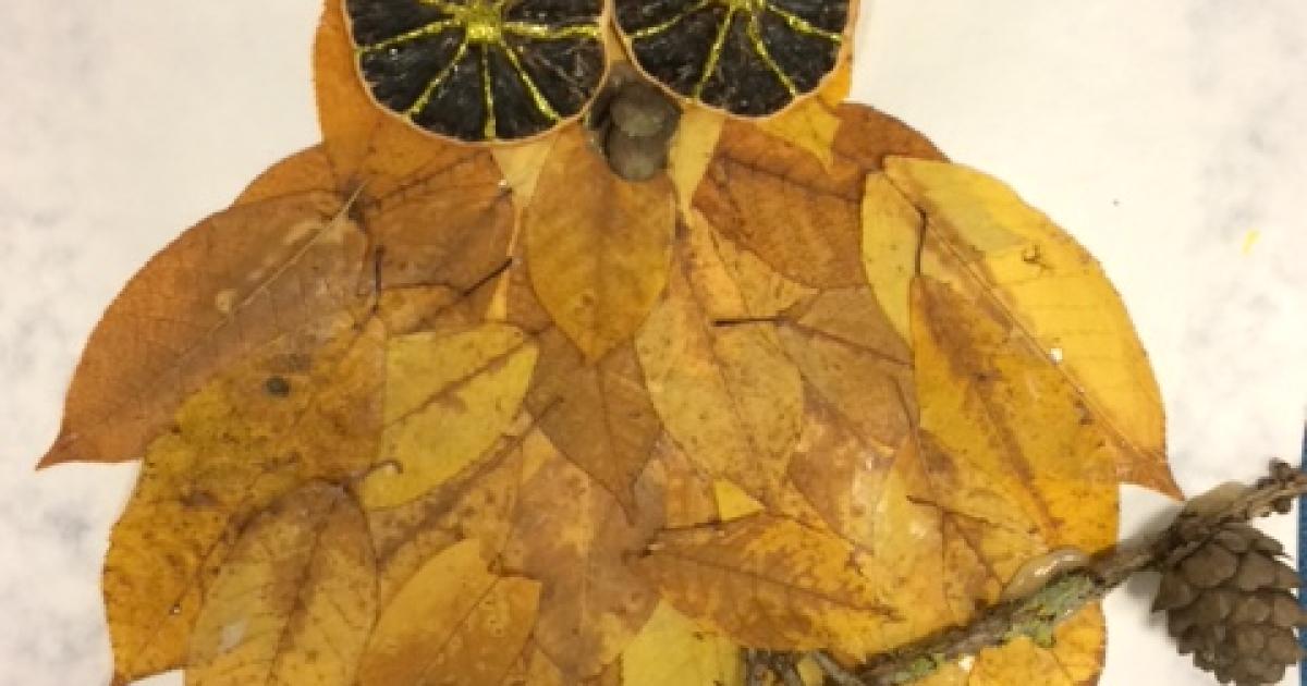 Seli Lasteaia pildialbum - Aasta lind metsis | Tallinn