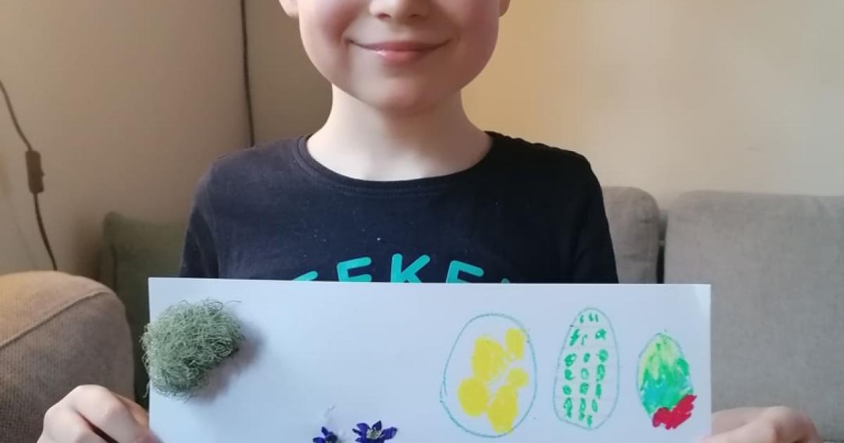 Meelespea lasteaed - Naksid toimetamas 2020 | Tallinn