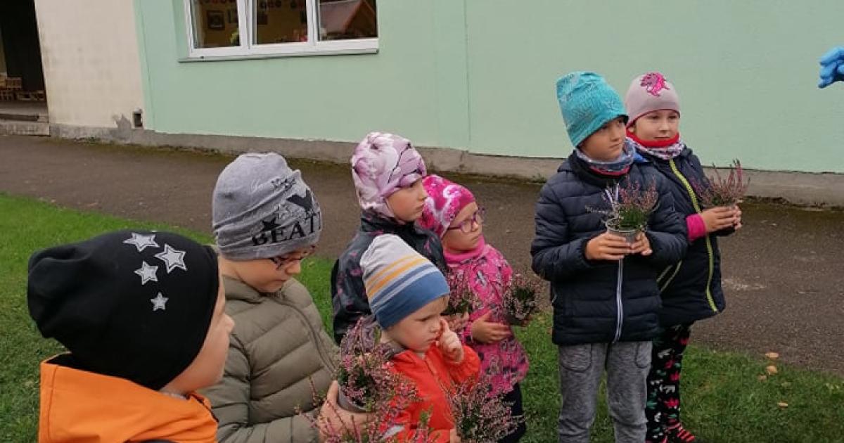 Meelespea lasteaed - Piirdeaia kanarbikud | Tallinn