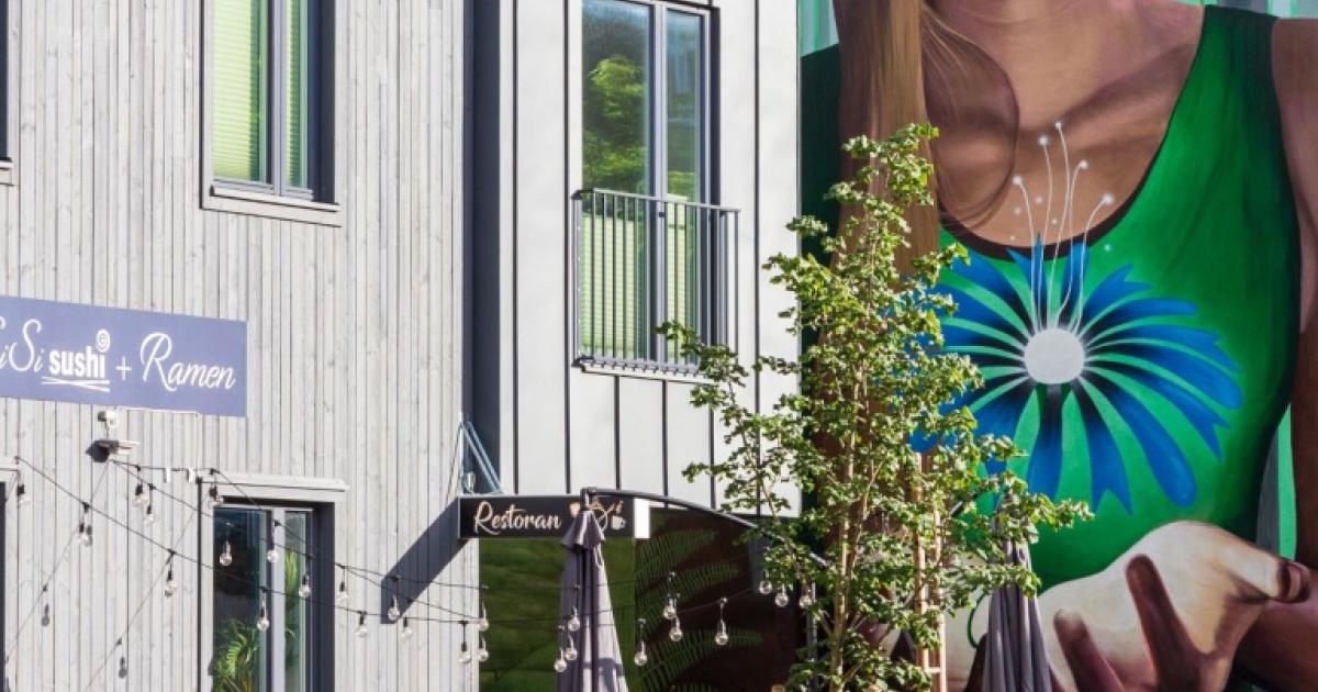 Salme Kultuurikeskuse fassaadi hüpiknäitus jätkub Birgit Vaarandi ...