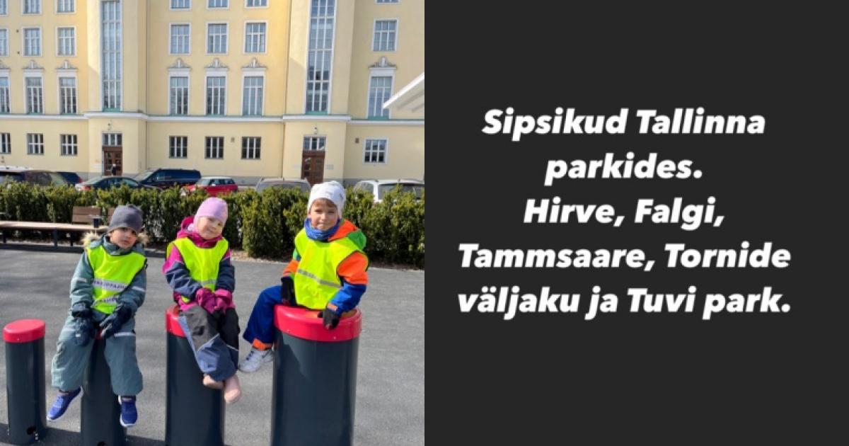 Sipsiku rühm käis aprillis digiorienteerumas | Tallinn