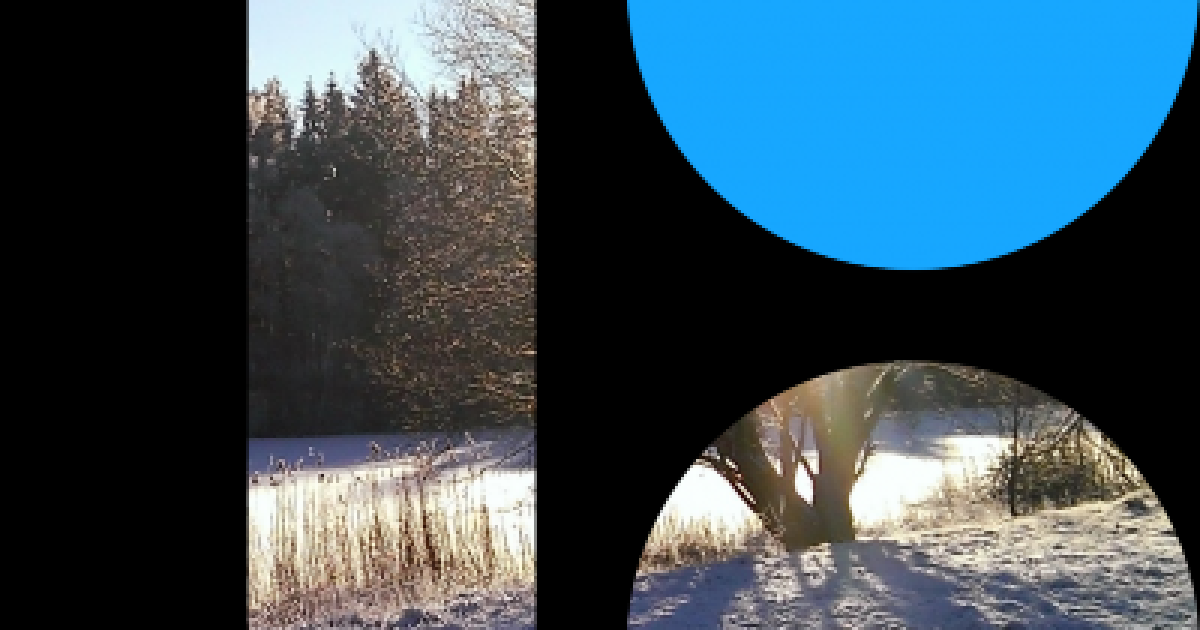 Eesti 100 - matk metsas "Meie armas kodukoht" | Tallinn