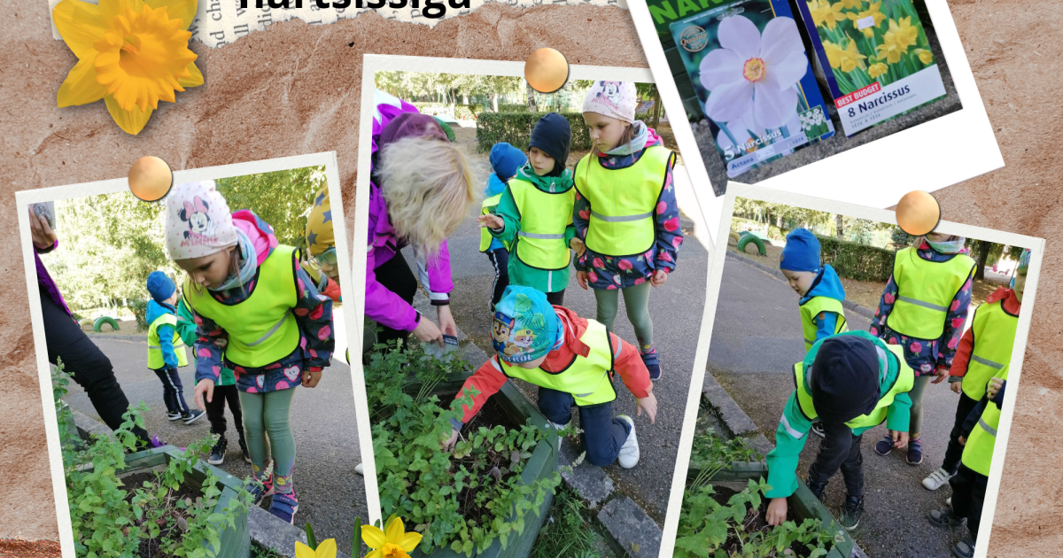 Naksitrallide tutvumine oma rühma lillega | Tallinn