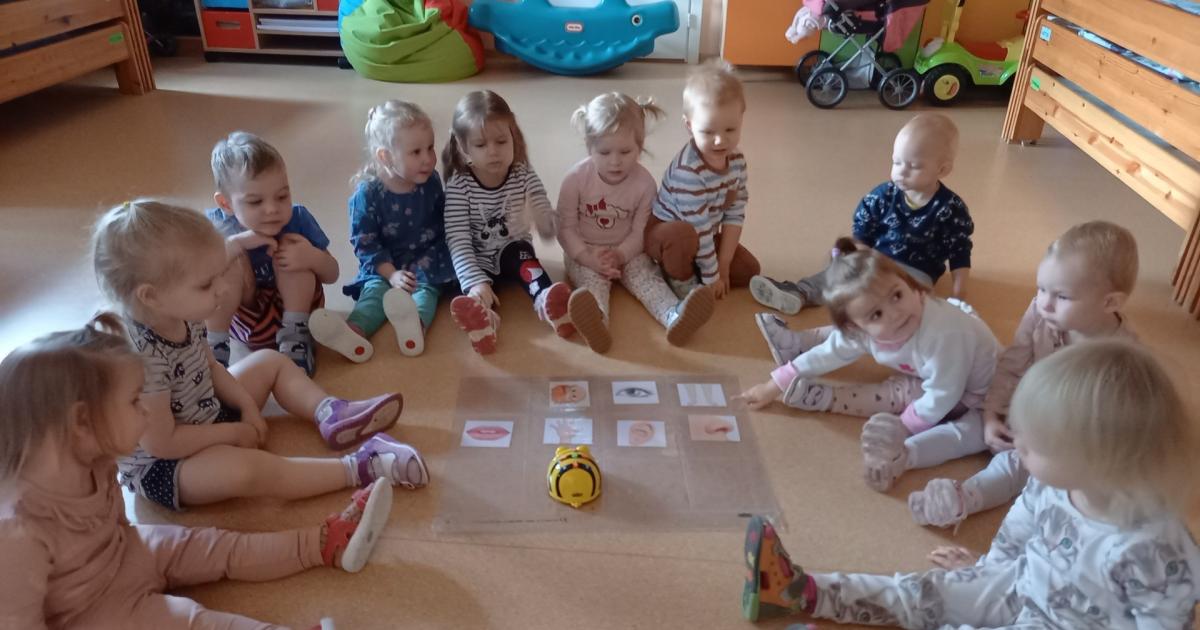 Tutvumine Bee-Bot põrandarobotiga | Tallinn