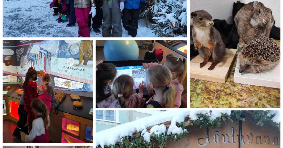 Muuseumitund "Metsloomade aasta: talv" | Tallinn