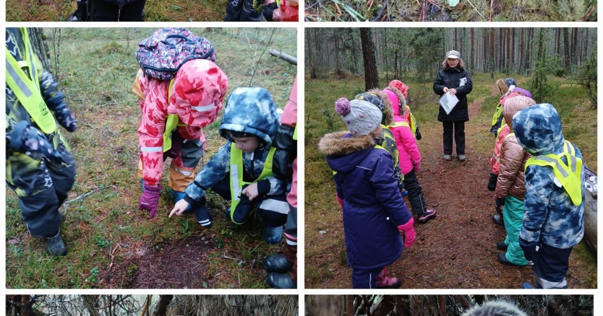 Tallinna Loitsu lasteaia Sipsiku rühma lapsed osalesid õueprogrammis ...