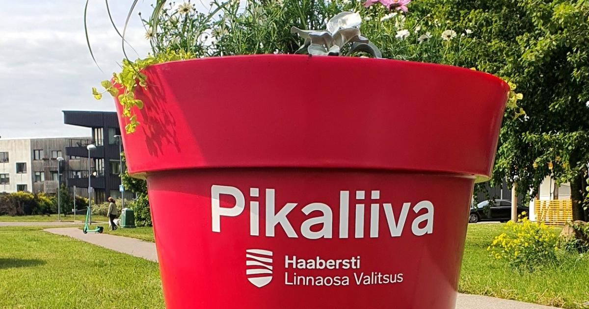 Suhtugem linnaruumi ja linna varasse austusega | Tallinn