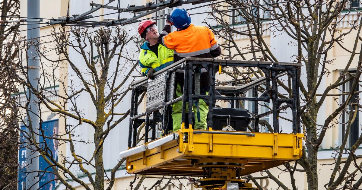 Next phase of trolleybus overhead line reconstruction begins in ...