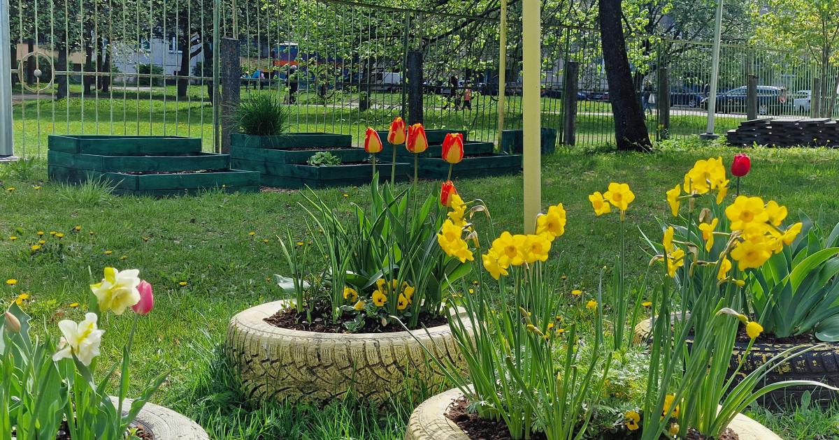 Tallinna Kivila Lasteaed | Tallinn